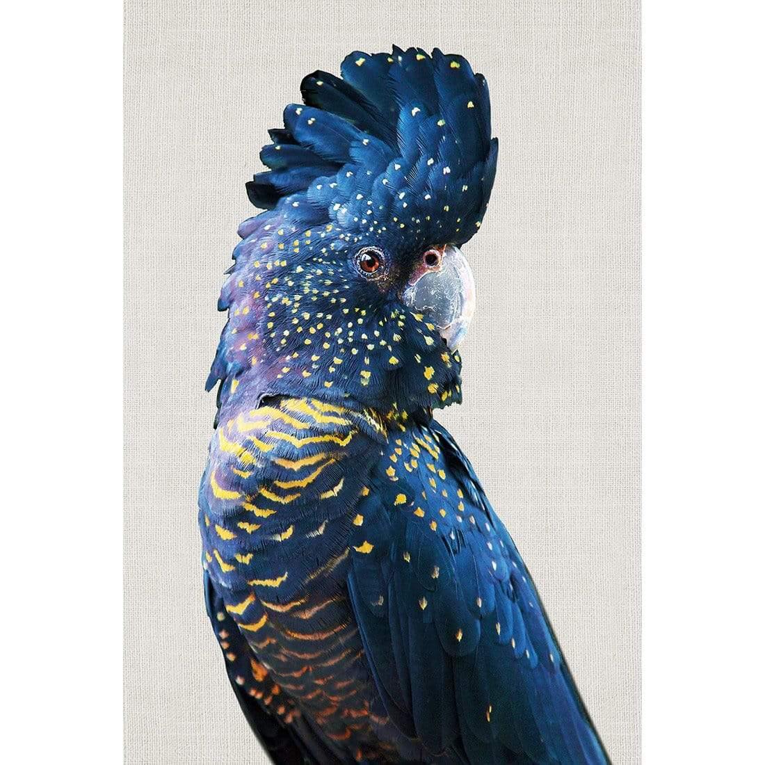 Distracted Black Cocky | Wall Art Designs