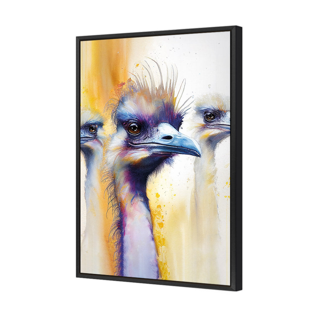 Scheming Emus | Wall Art Designs