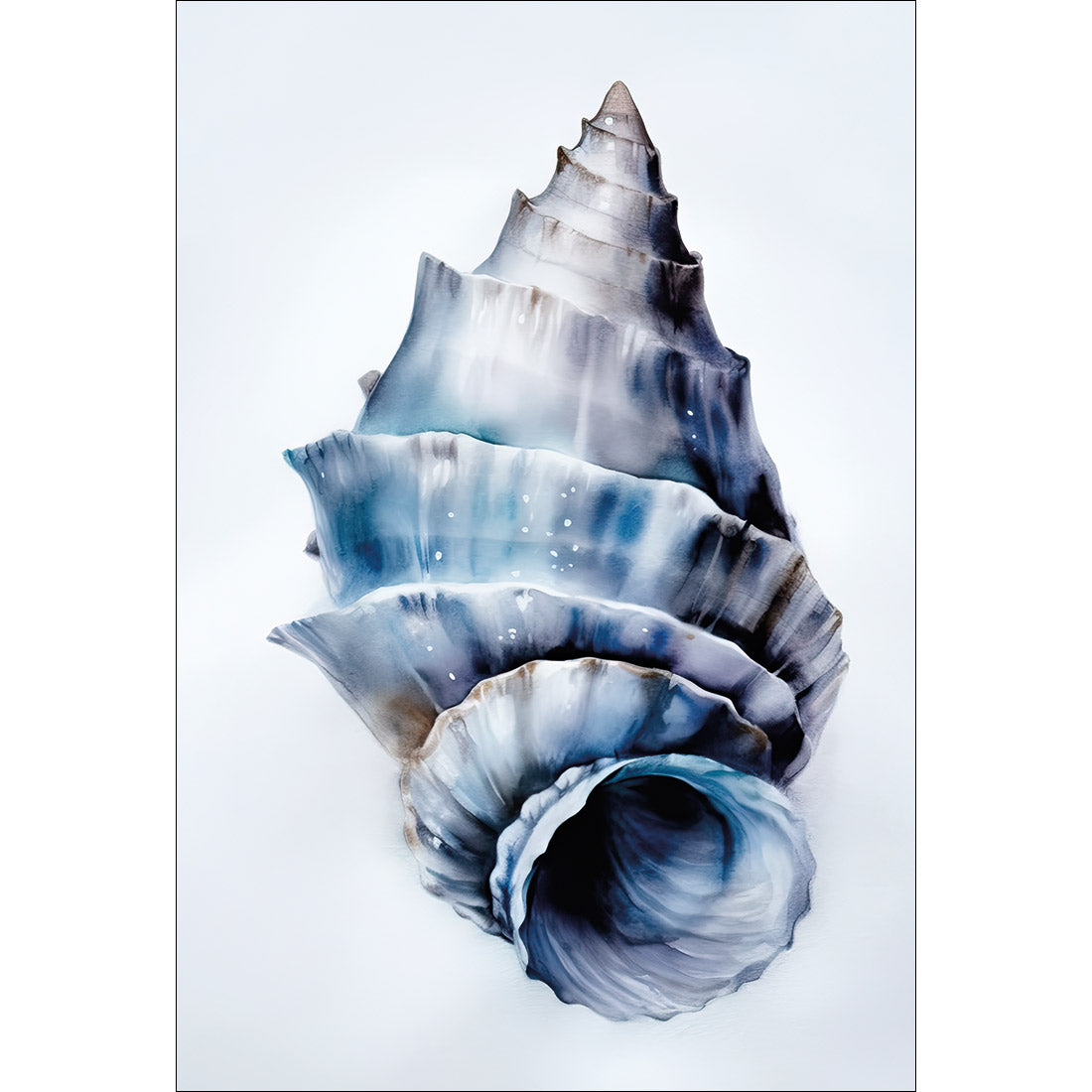 Watercolour Shell III – Wall Art Designs