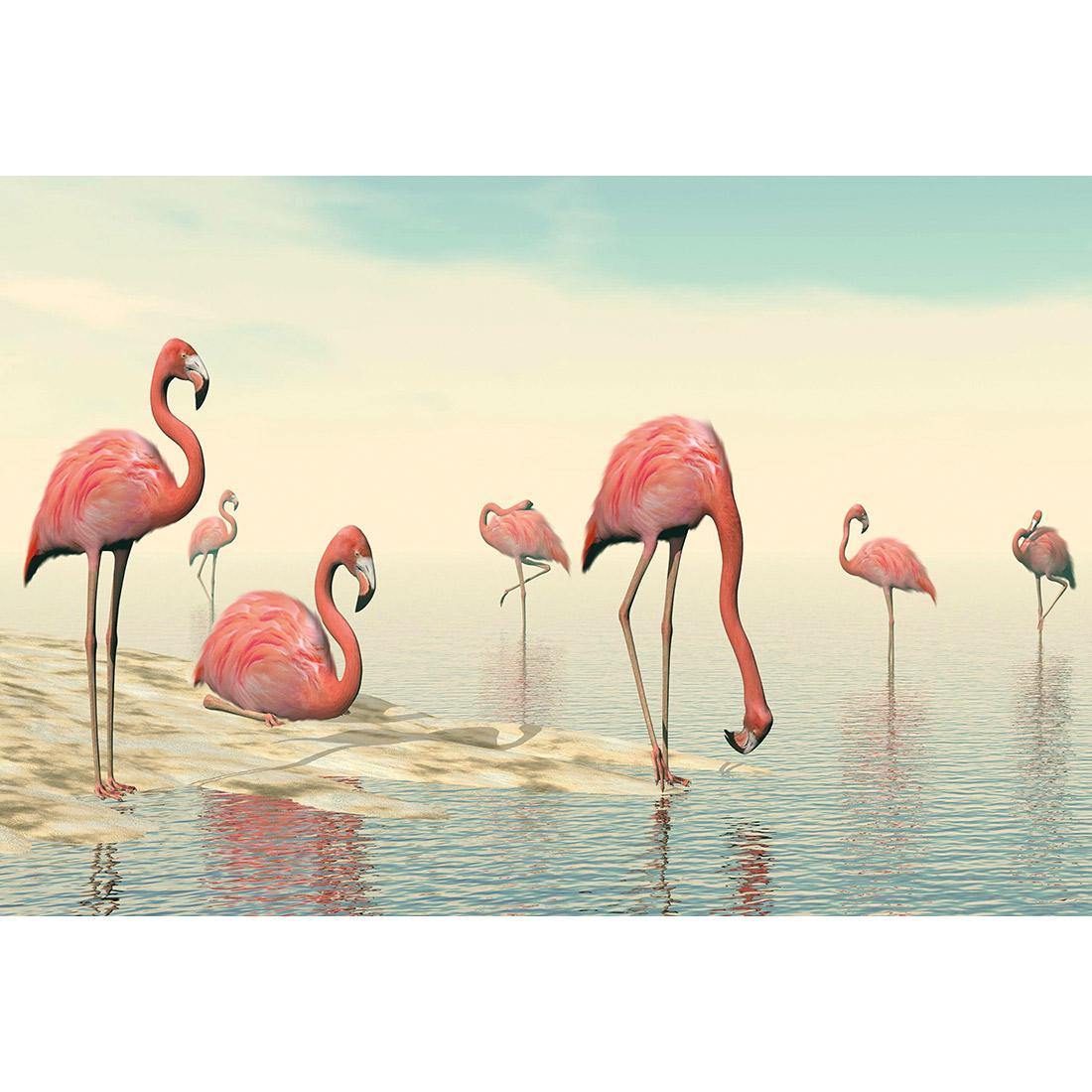 Flamingo Chill | Wall Art Designs