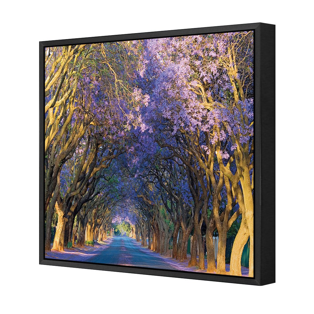Jacaranda Alley (square) – Wall Art Designs