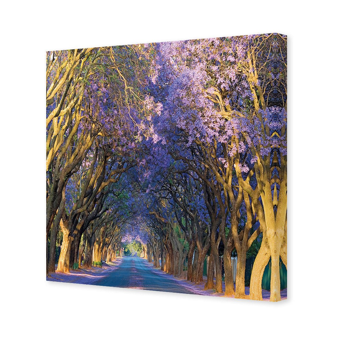 Jacaranda Alley (square) – Wall Art Designs