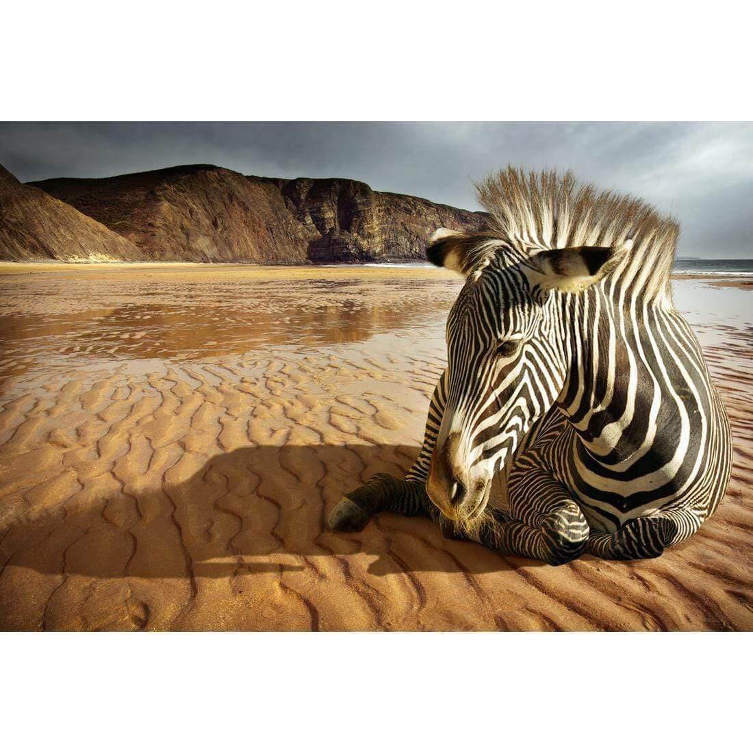 Zebra on Beach – Wall Art Designs