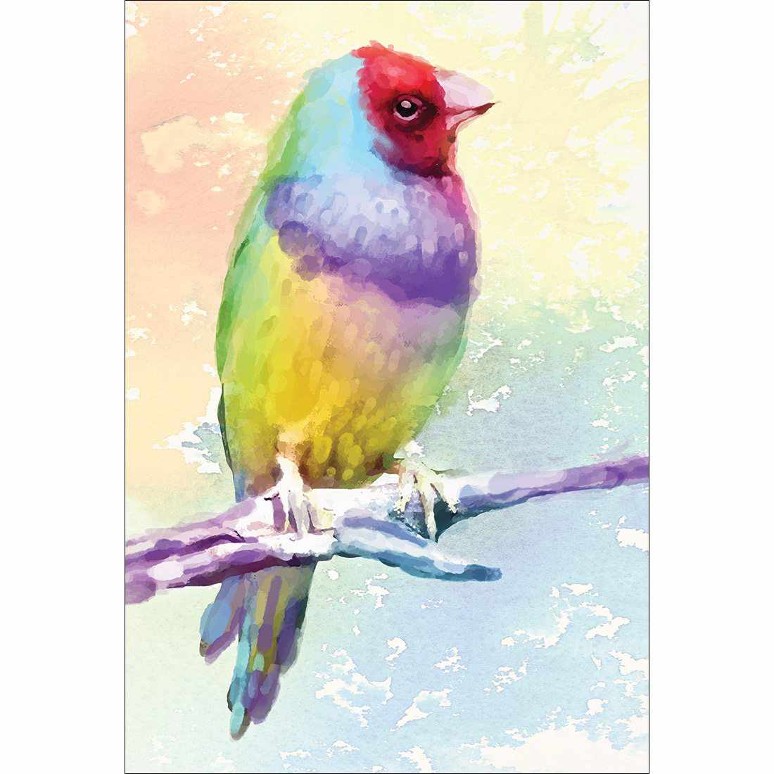 Watercolour Finch Canvas Art | Wall Art Designs