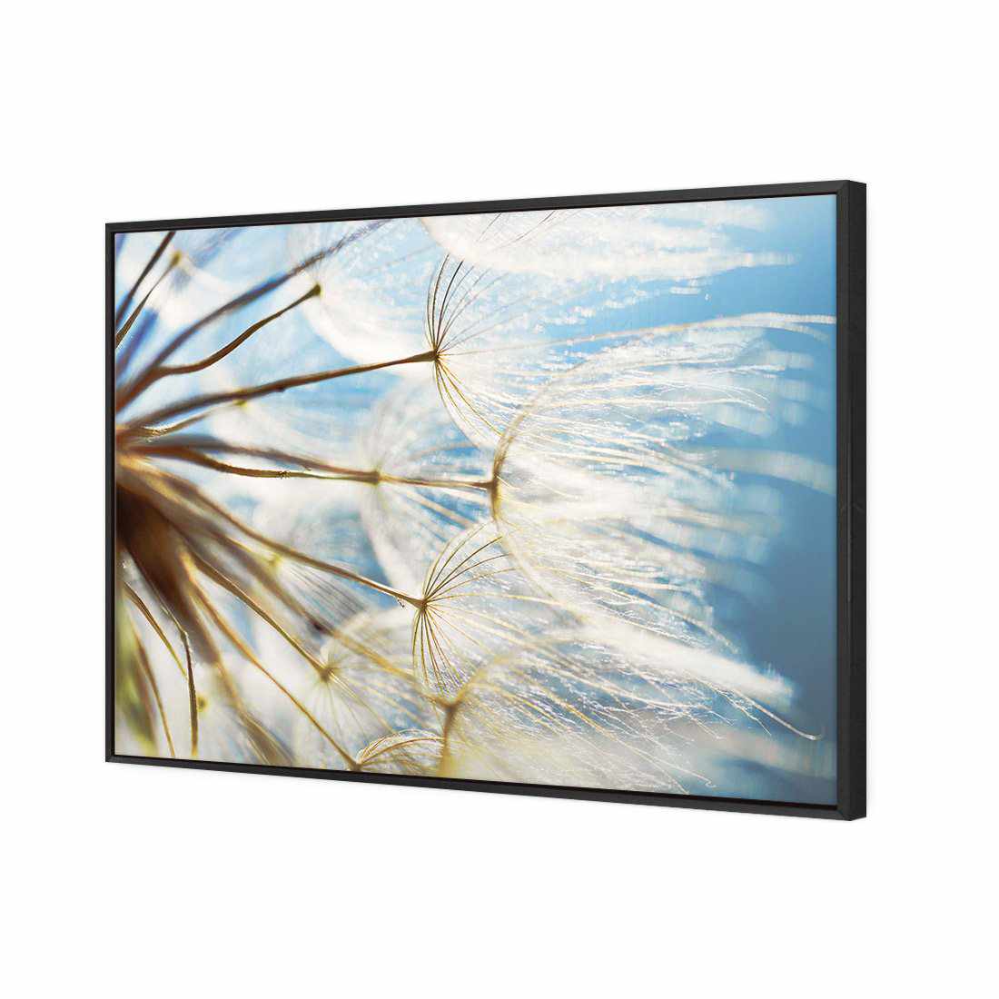 The Winds Of Dandy Canvas Art | Wall Art Designs