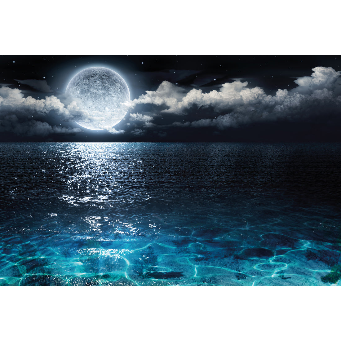 Moonlight Flit Acrylic Glass Art | Wall Art Designs